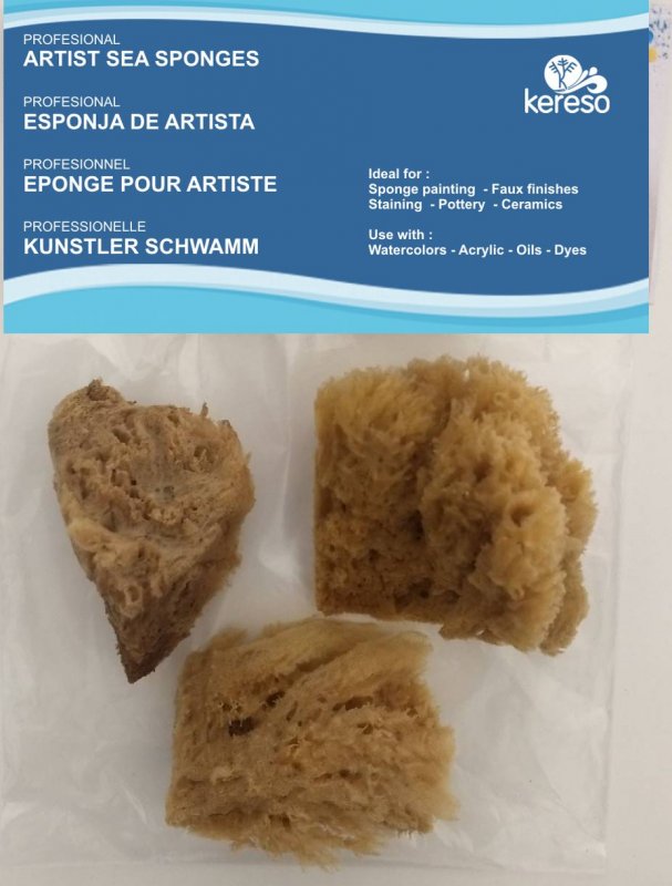 Global Distribution European Art Supplies Natural Coarse Sponges 3 pcs.