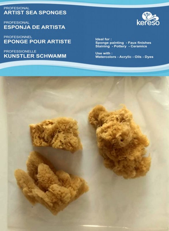 Global Distribution European Art Supplies Natural Fine Pore Sponges 3 Pa...
