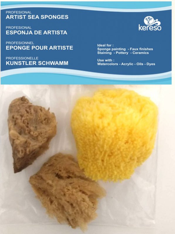 Global Distribution European Art Supplies Natural Ocean Sponges 3 Pack 1...