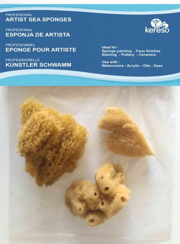 Global Distribution European Art Supplies Natural Ocean Sponges Variety ...